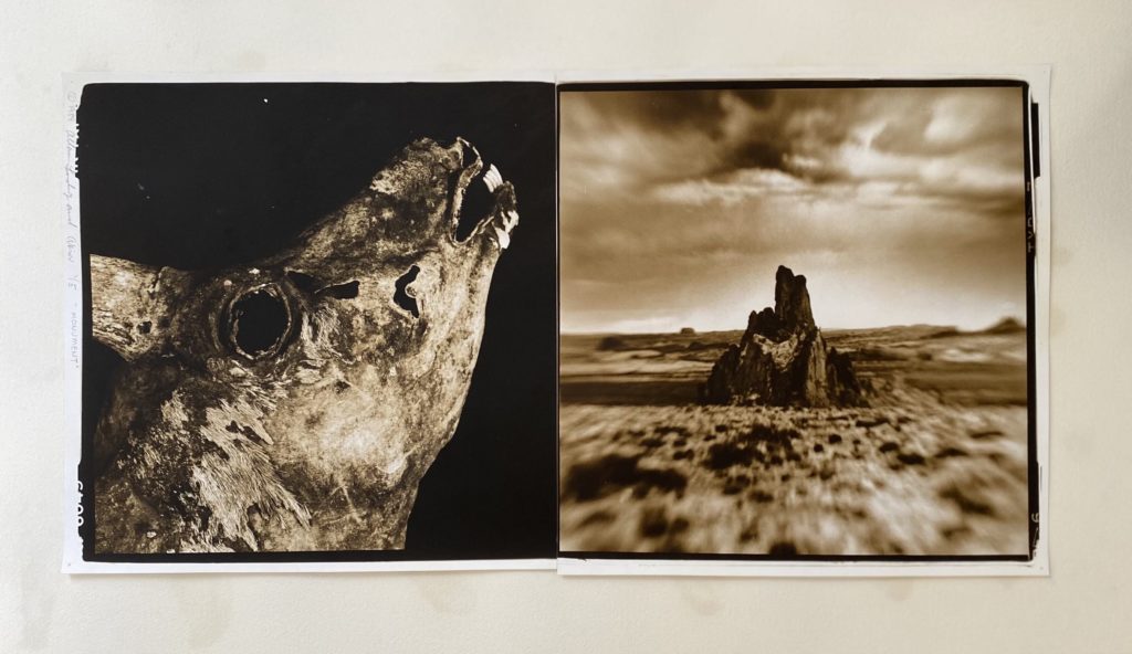 Farideh Cadot Associés Gwen Akin et Allan Ludwig - Farideh Cadot